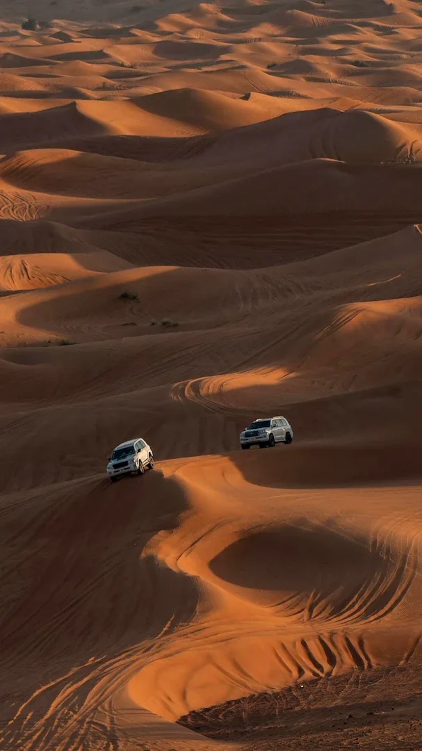 Flow Narjis | Riyadh, Saudi Arabia