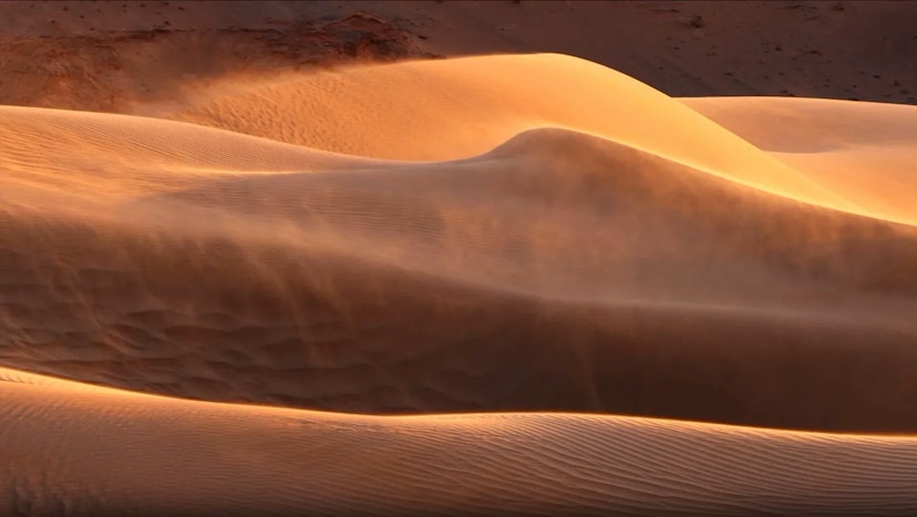 Flow Narjis | Riyadh, Saudi Arabia